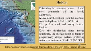 38. spotted ratfish, economic importancepdf | PDF | Fish and Aquariums ...