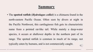 38. spotted ratfish, economic importancepdf | PDF | Fish and Aquariums ...