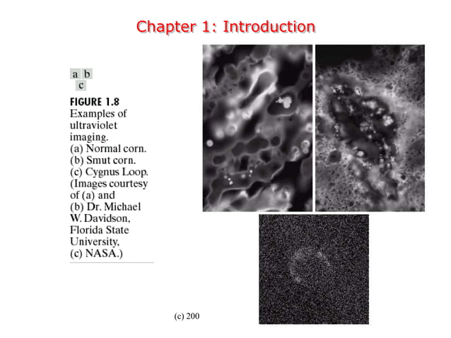 Introduction to Digital Image Processing | PPT