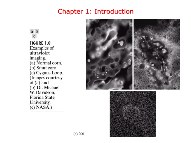 Introduction to Digital Image Processing | PPT