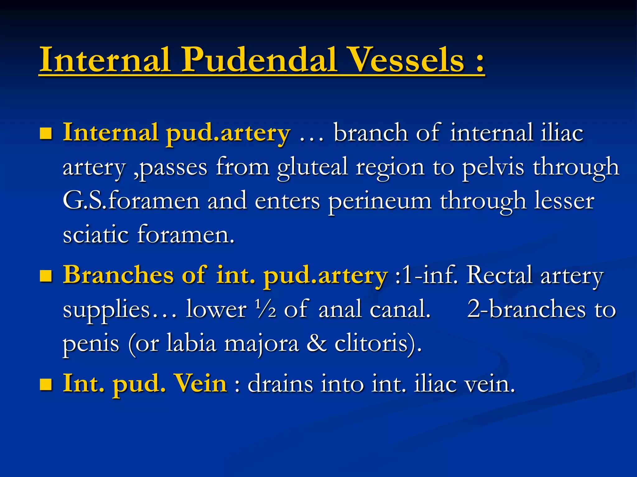 38-master-perineum 1 & 2 (Updated April 15).ppt