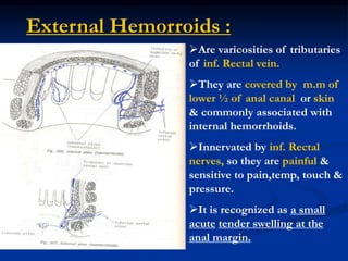 38-master-perineum 1 & 2 (Updated April 15).ppt
