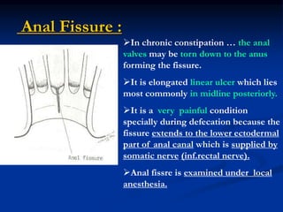 38-master-perineum 1 & 2 (Updated April 15).ppt