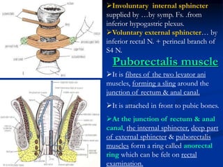 38-master-perineum 1 & 2 (Updated April 15).ppt
