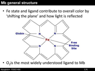Myoglobin and Meat Color - by Chris Raines (@itweetmeat) | PPTX