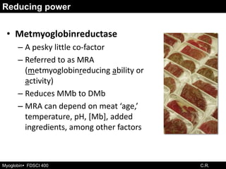 Myoglobin and Meat Color - by Chris Raines (@itweetmeat) | PPTX