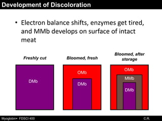 Myoglobin and Meat Color - by Chris Raines (@itweetmeat) | PPTX