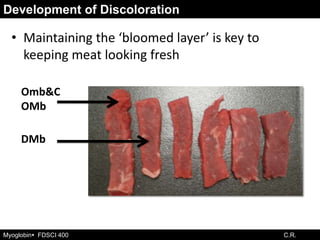 Myoglobin and Meat Color - by Chris Raines (@itweetmeat) | PPTX