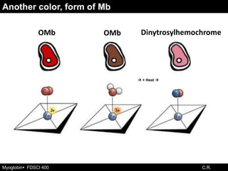 Myoglobin and Meat Color - by Chris Raines (@itweetmeat) | PPTX