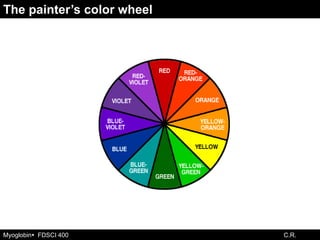 Myoglobin and Meat Color - by Chris Raines (@itweetmeat) | PPTX