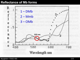 Myoglobin and Meat Color - by Chris Raines (@itweetmeat) | PPTX