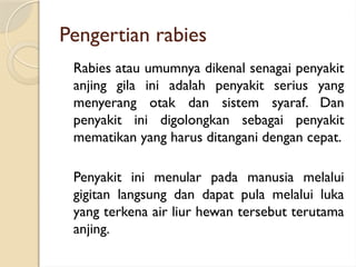 MATERI PECEGAHAN RABIES DAN GEJALA RABIES | PPTX