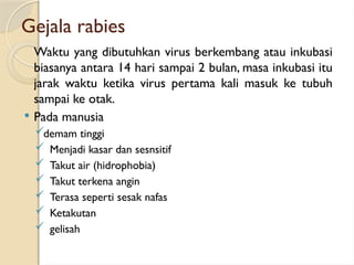 MATERI PECEGAHAN RABIES DAN GEJALA RABIES | PPTX