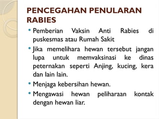 MATERI PECEGAHAN RABIES DAN GEJALA RABIES | PPTX