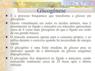 38 013723 metabolismode_carboidratos | PPT