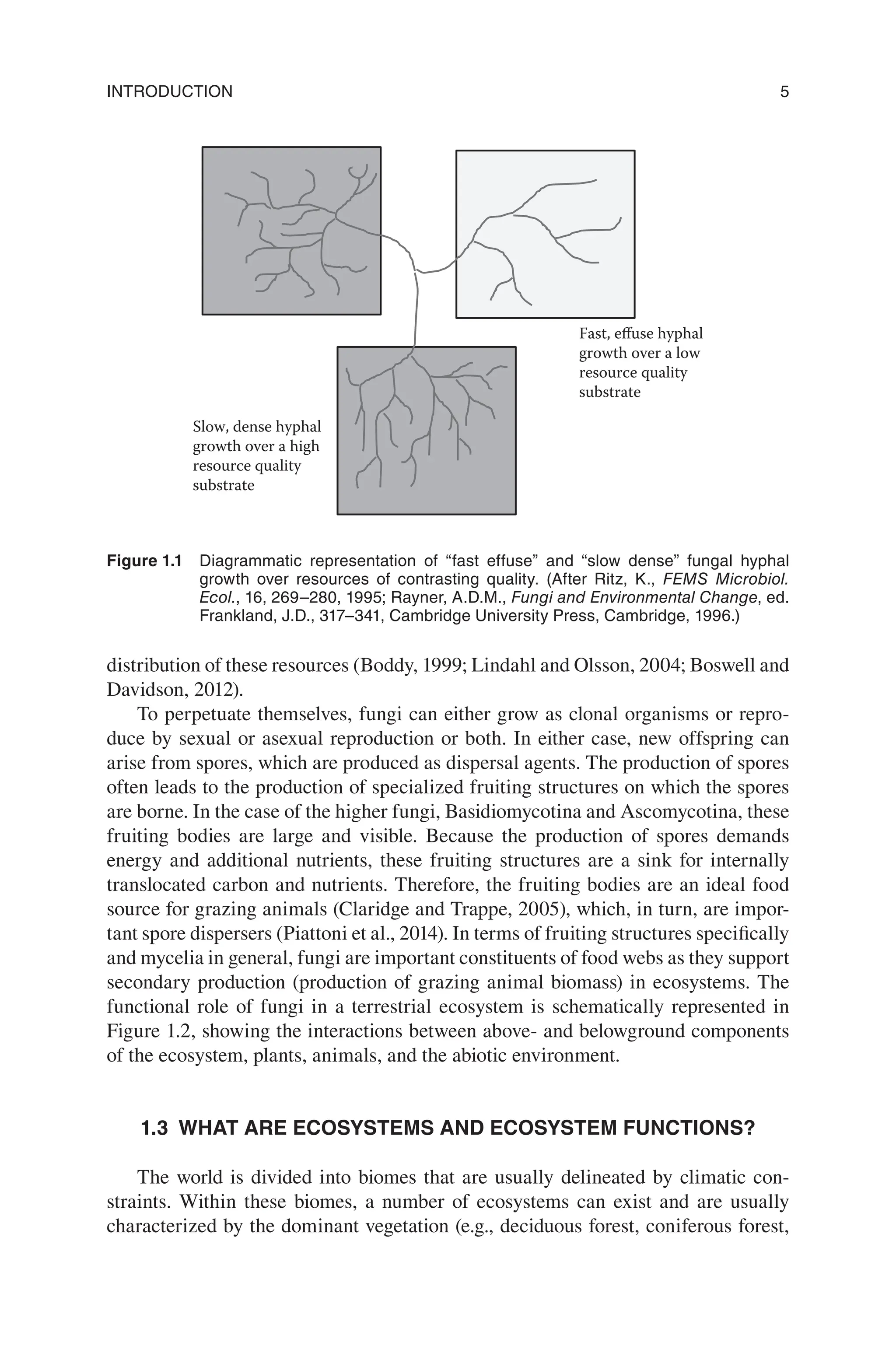 Fungi in ecosystem processes Second Edition Dighton | PDF