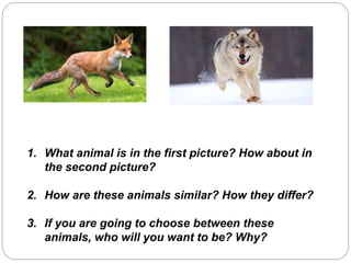 380884354-English5q1w1d1-The-Sly-Fox.ppt