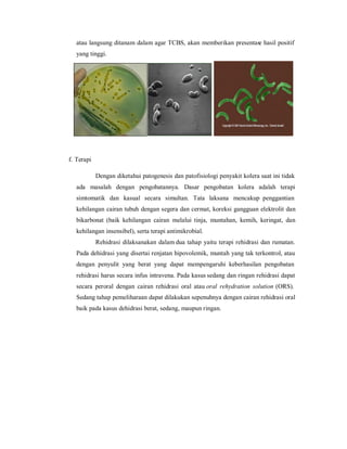 38120856 diare | PDF