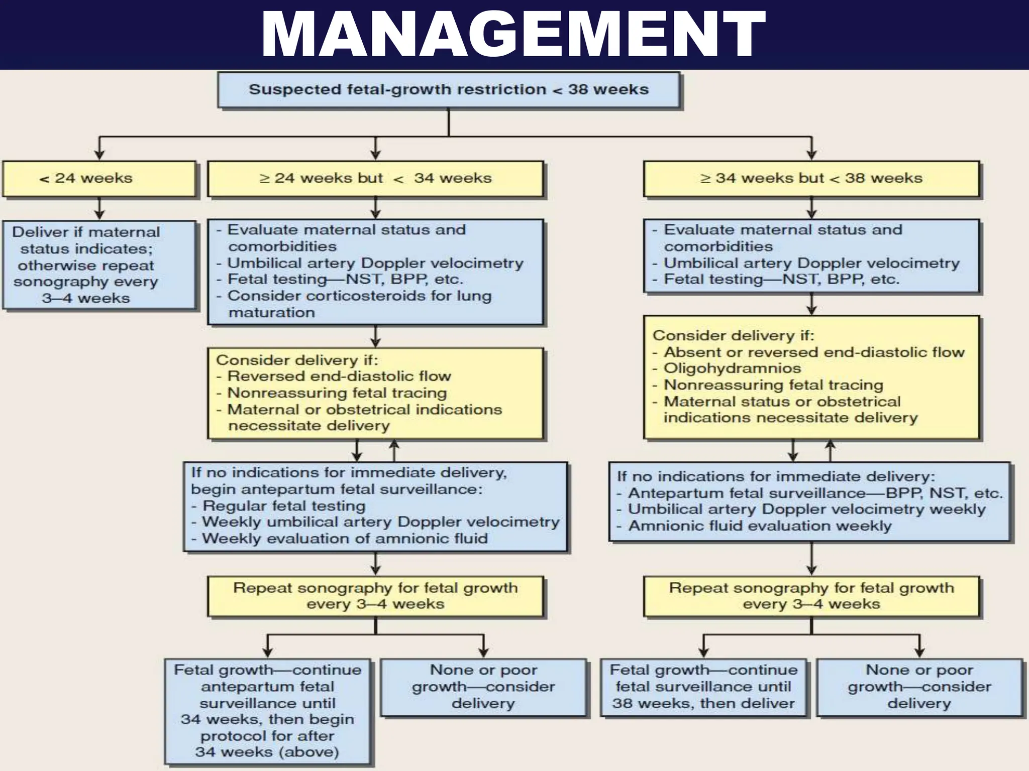 Fetal381503888-Fetal-Growth-Disorders.ppt