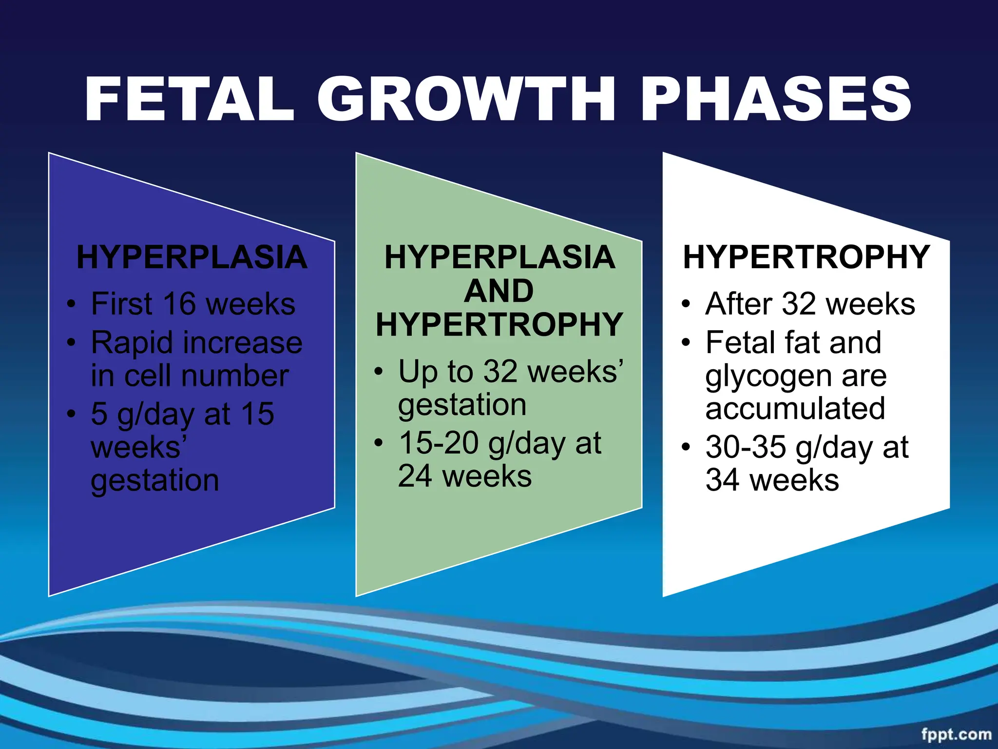 Fetal381503888-Fetal-Growth-Disorders.ppt