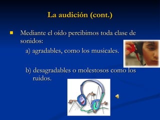 Los-cinco-sentidos | PPT | Ear, Nose and Throat Conditions | Diseases ...