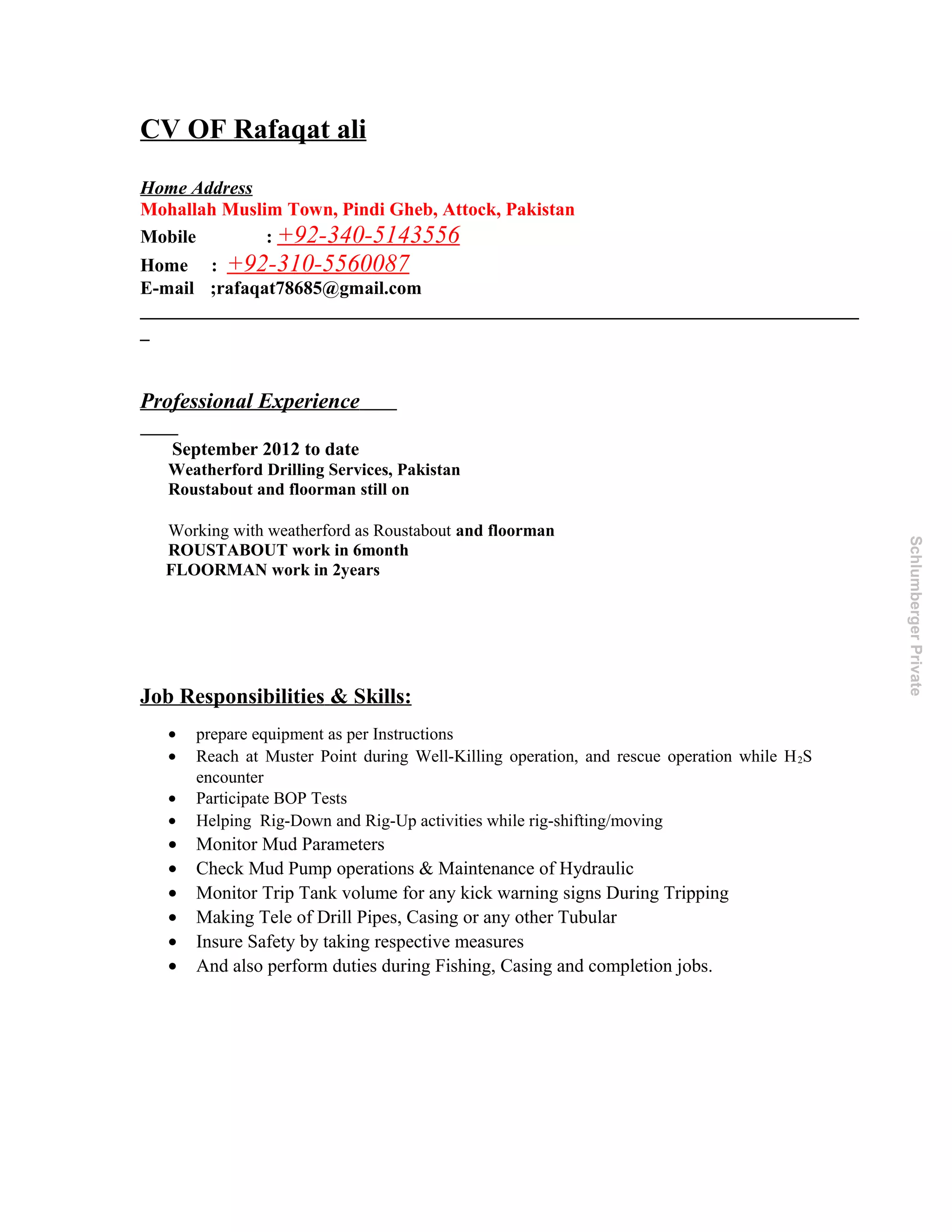 Latest CVof Rafaqat ali | PDF