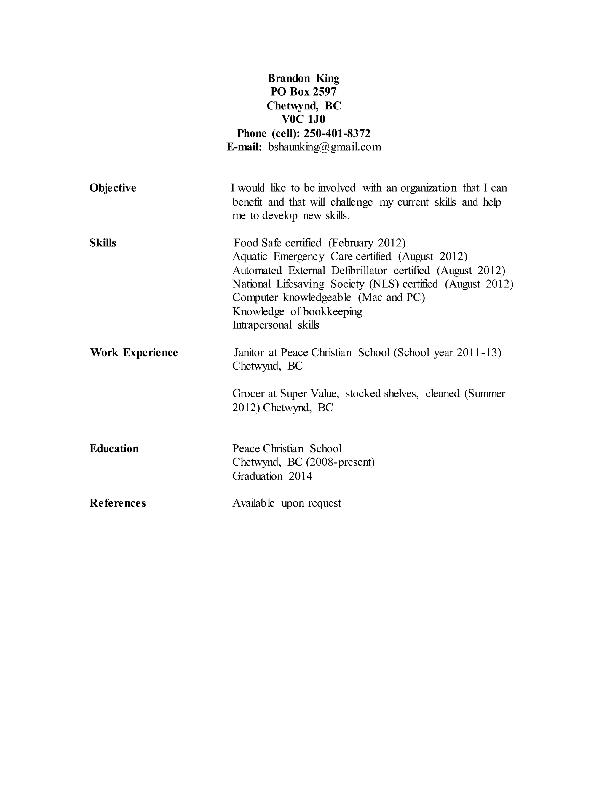 Brandon King's Resume | PDF