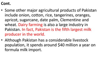 382903178-Industrial-sector-of-Pakistan-pptx.pptx