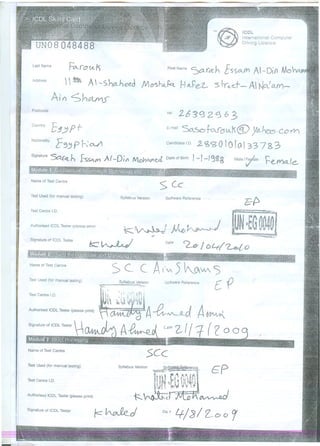 Foundation Certificate - American University in Cairo | PDF
