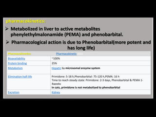 Anticonvulsant | PPT