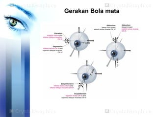Diagnosis dan Tatalaksana Parese Nervus III | PPTX