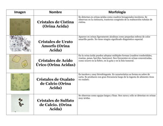 384634555-Sedimento-Urinario-docx.docx
