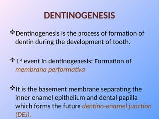 Dentinogenesis and their functional characterization.pptx