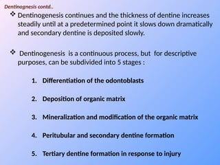 Dentinogenesis and their functional characterization.pptx