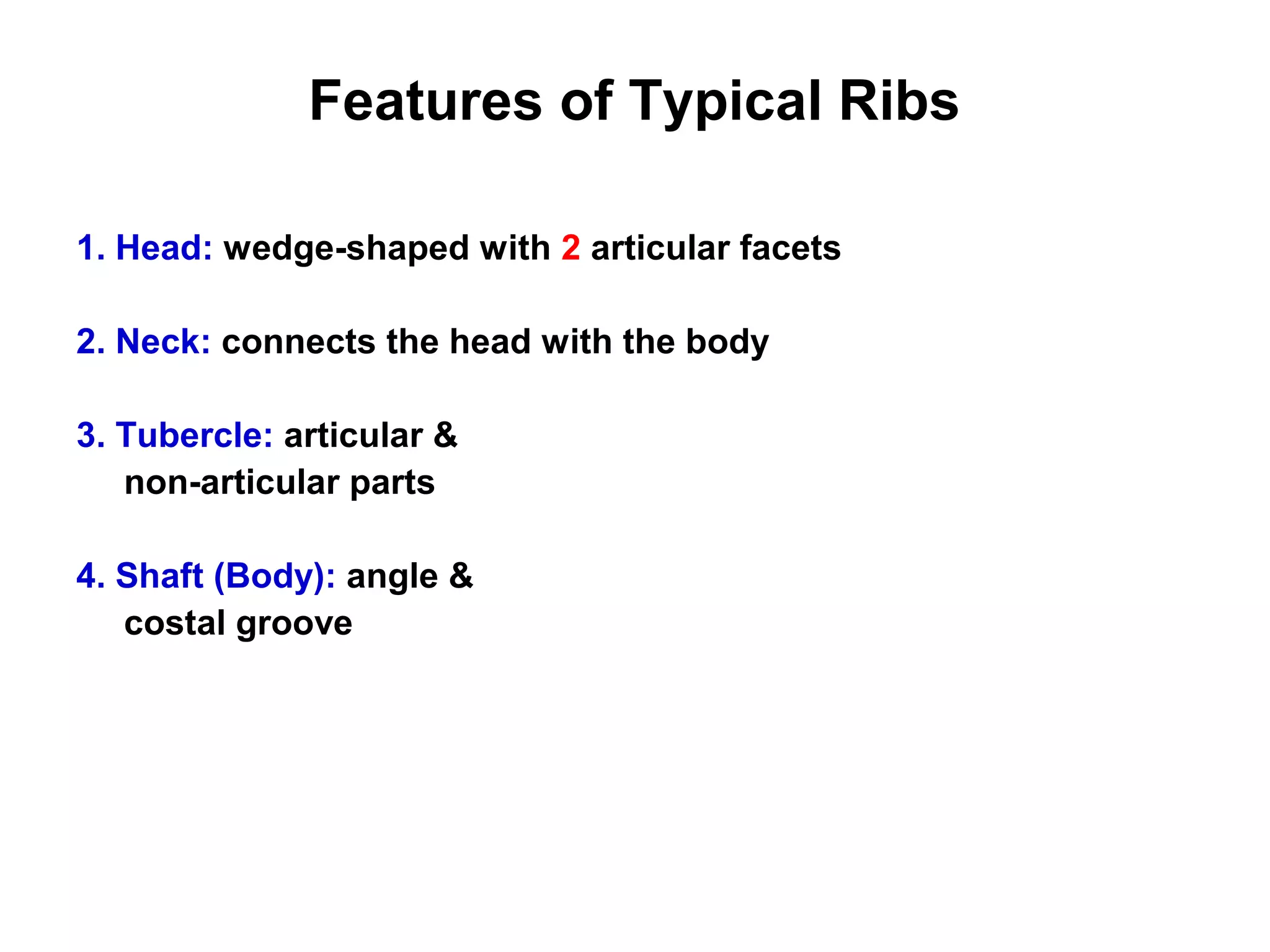 anatomy-lecture-3-thoracic-wall-1-slides | PPT