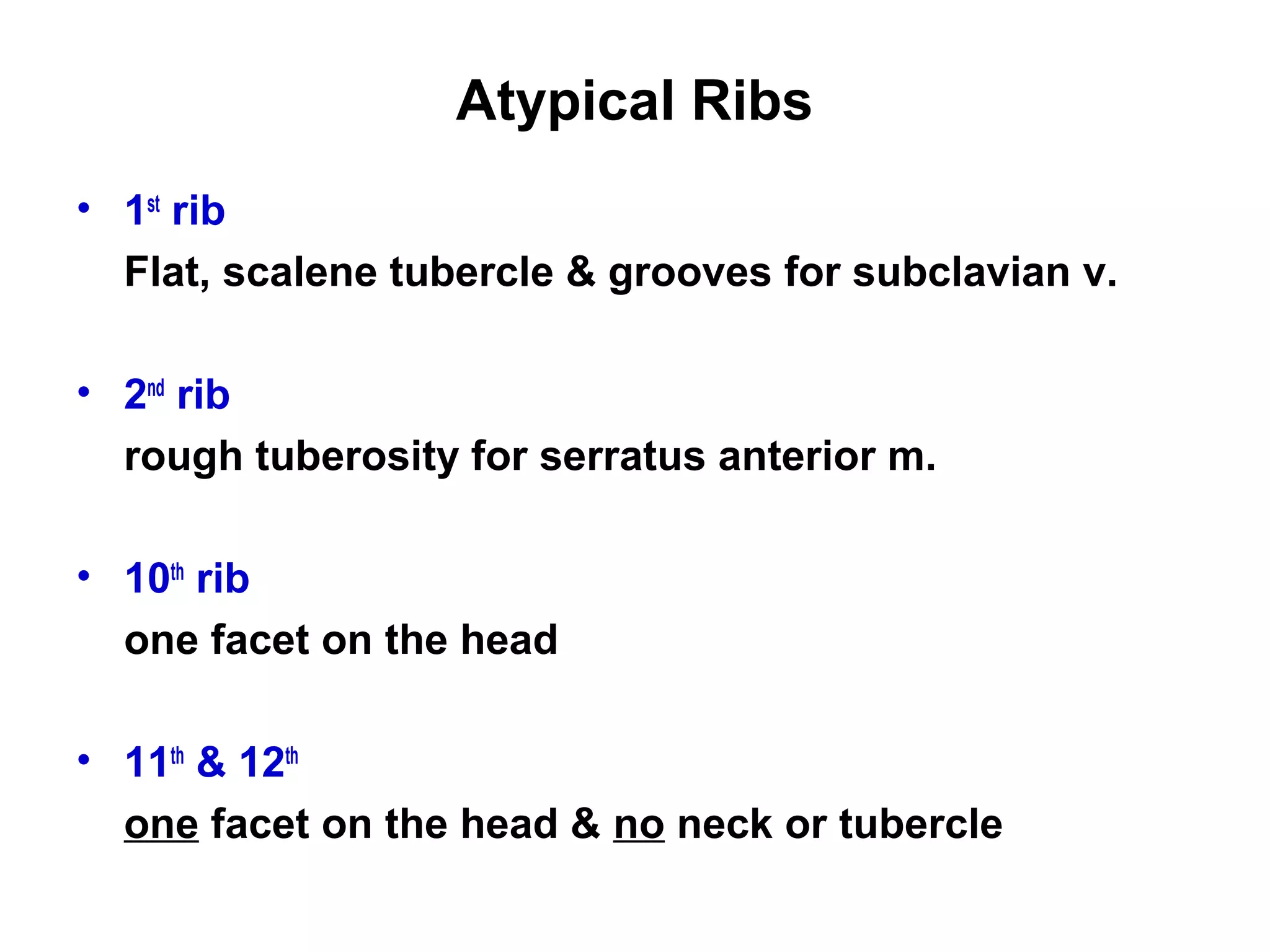 anatomy-lecture-3-thoracic-wall-1-slides | PPT