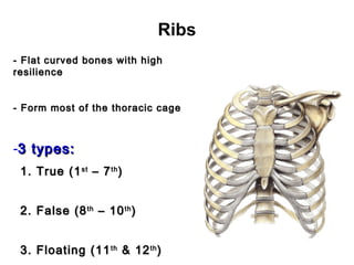 anatomy-lecture-3-thoracic-wall-1-slides | PPT