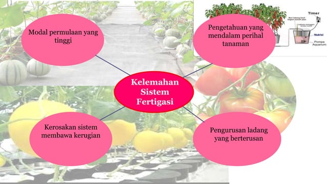 385634639-Nota-fertigasi.pptx