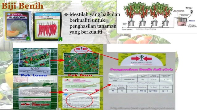 385634639-Nota-fertigasi.pptx