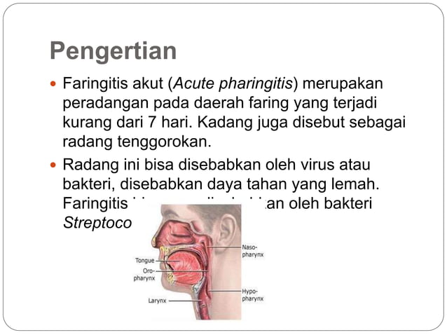 385736891-Penyuluhan-faringitis.ppt
