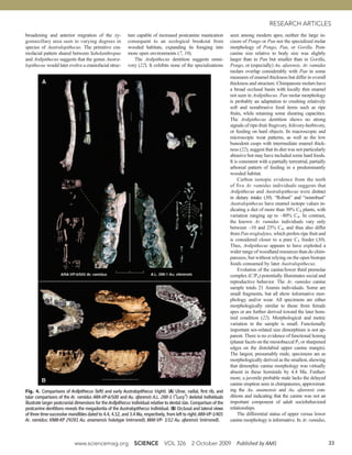 Science - Ardipithecus ramidus | PDF