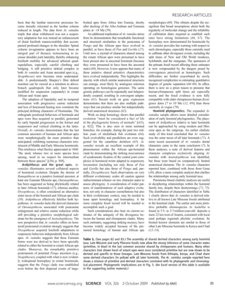 Science - Ardipithecus ramidus | PDF