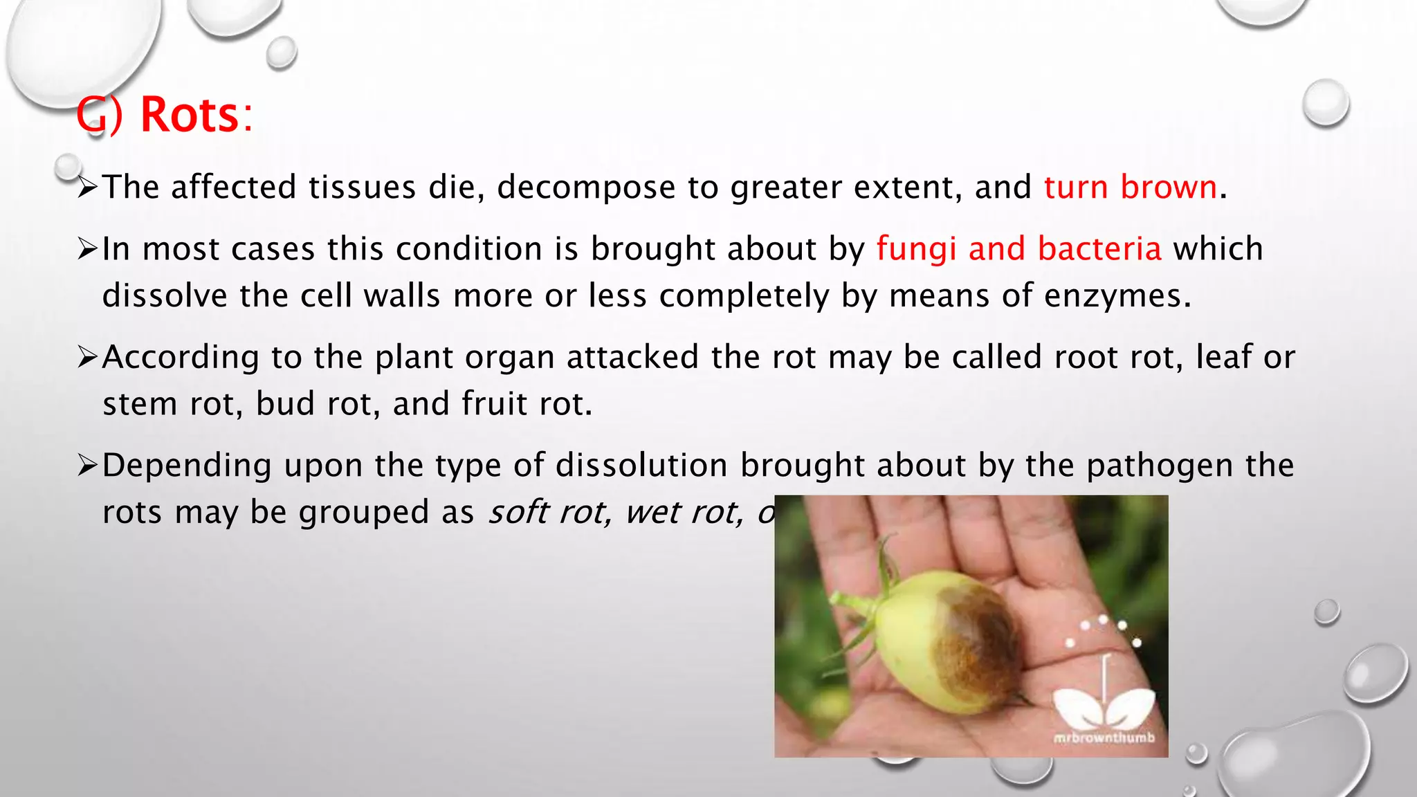 387005224-Plant-Diseases-Lec-1-2-pptx.pptx
