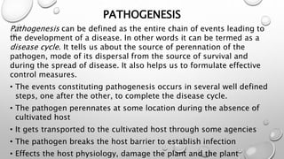 387005224-Plant-Diseases-Lec-1-2-pptx.pptx
