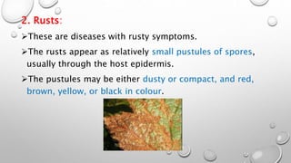 387005224-Plant-Diseases-Lec-1-2-pptx.pptx