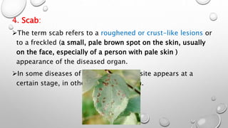 387005224-Plant-Diseases-Lec-1-2-pptx.pptx