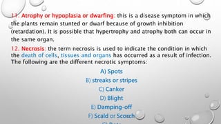 387005224-Plant-Diseases-Lec-1-2-pptx.pptx