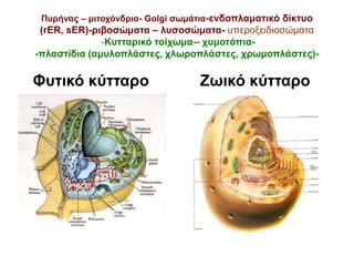 38728173-ΒΙΟΛΟΓΙΑ-Α-ΓΥΜΝΑΣΙΟΥ.ppt