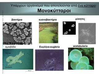 38728173-ΒΙΟΛΟΓΙΑ-Α-ΓΥΜΝΑΣΙΟΥ.ppt