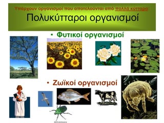 38728173-ΒΙΟΛΟΓΙΑ-Α-ΓΥΜΝΑΣΙΟΥ.ppt